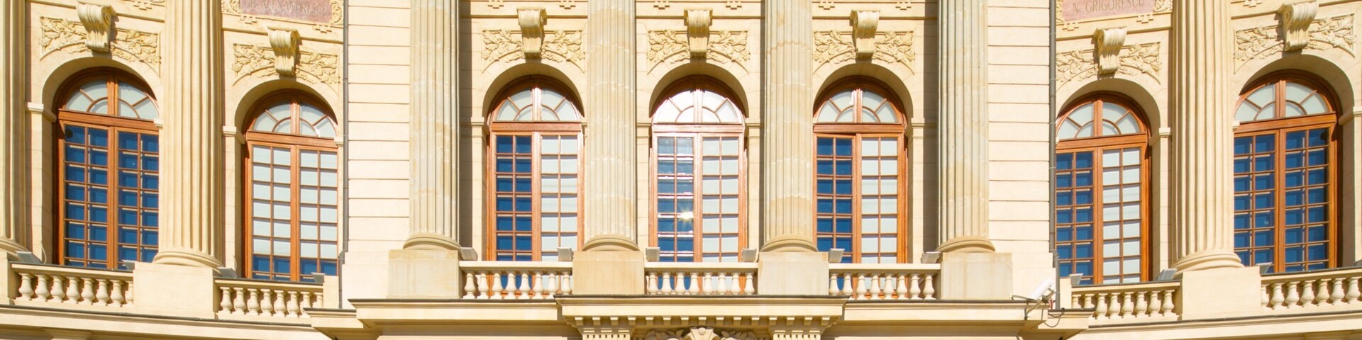 Central University Library showing heritage architecture