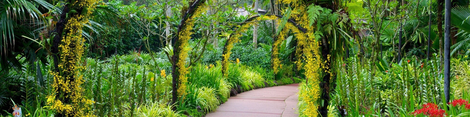 National Orchid Garden which includes a park