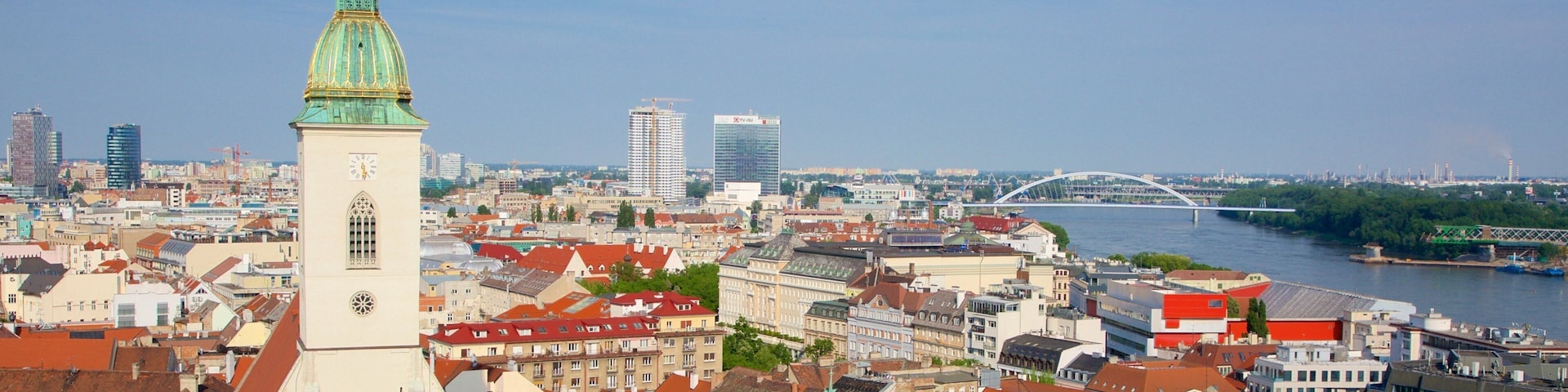 St. Martin\'s Cathedral showing a city and a church or cathedral
