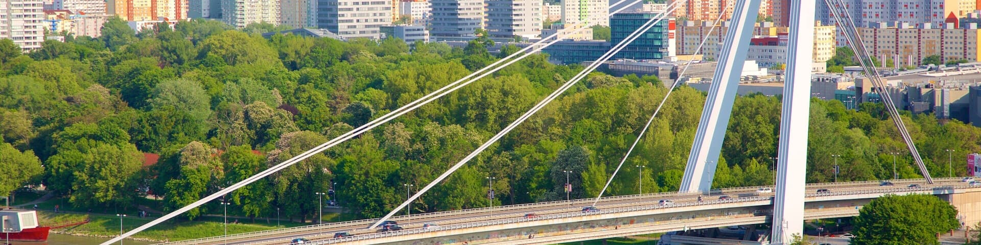 New Bridge showing a bridge, a city and modern architecture