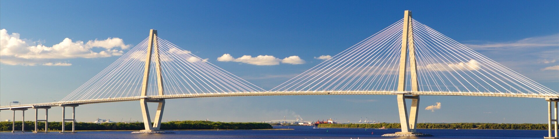 Arthur Ravenel Jr. Bridge