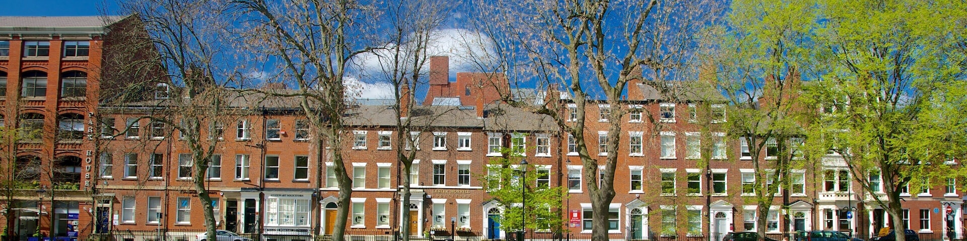 Leeds Park Square caracterizando flores, um jardim e piquenique