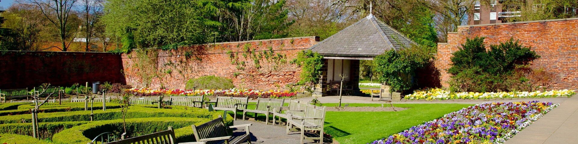 Roundhay Park featuring a park and flowers