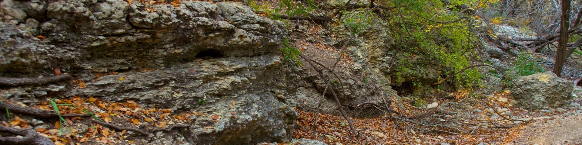 Exploring the natural trails of Friedrich Wilderness Park in San Antonio, Texas during autumn