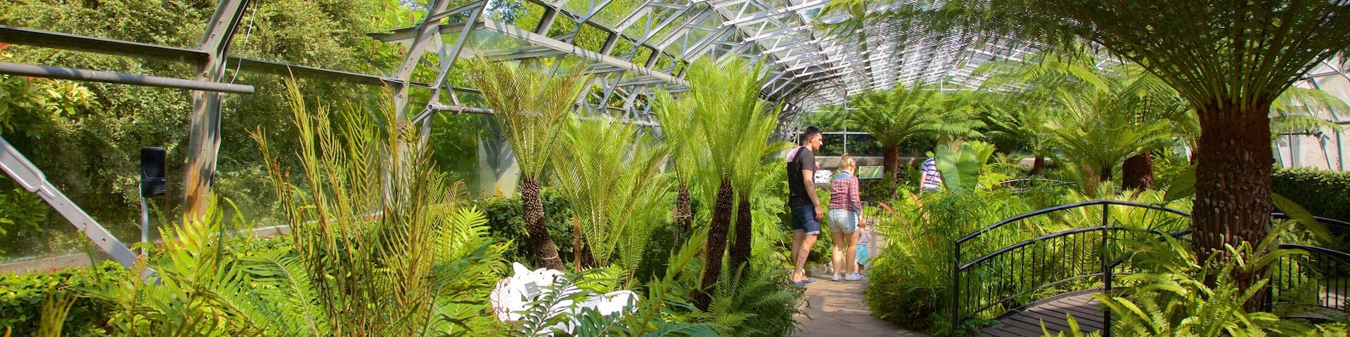 Duthie Park Winter Gardens which includes interior views and a park