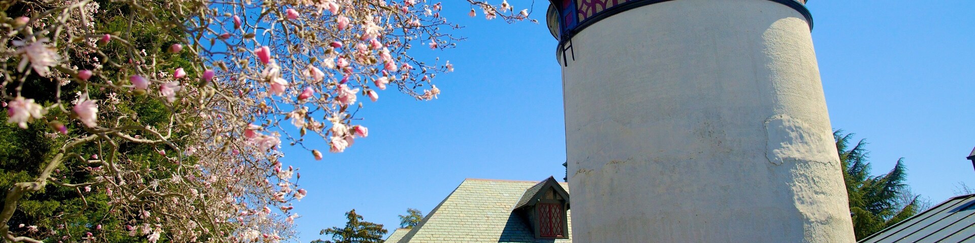 Maymont Park featuring a park and heritage architecture