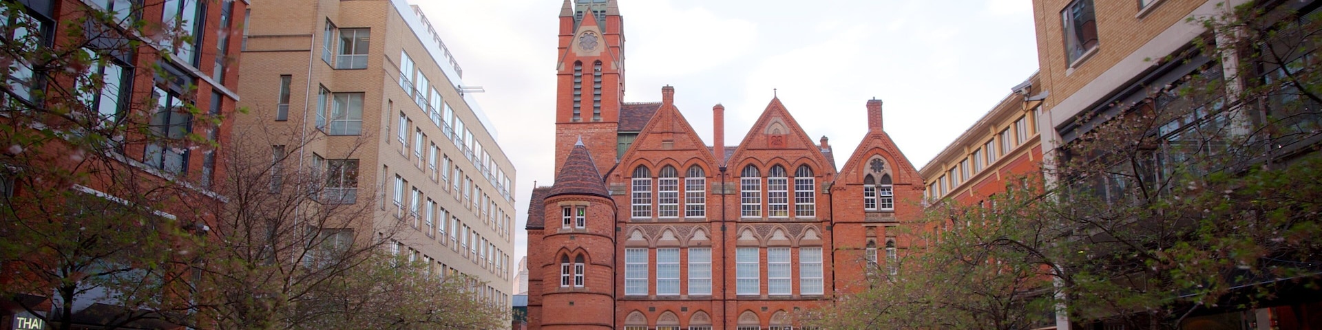 Ikon Gallery which includes heritage architecture, a square or plaza and a city