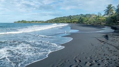 Uma praia com areia escura, ondas e uma ilha arborizada ao fundo.