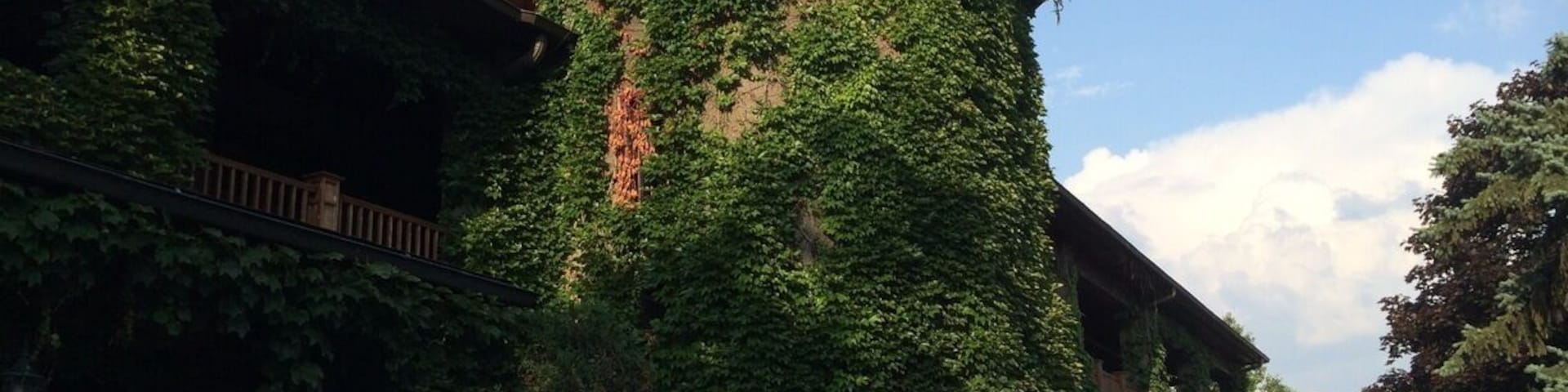 Take a tour and sample a variety of wines at the oldest and largest winery in the state of Illinois.
#localgem