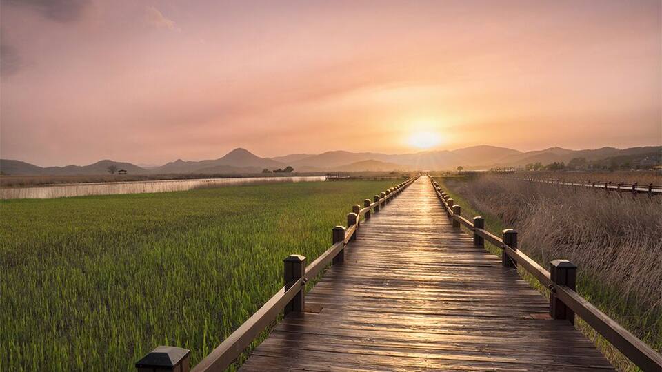 This was captured a few afternoons back at Suncheon Bay here in South Korea. Upon arrival it was raining and didn't look like holding up. I was rather disappointed as there was a hike to a lookout that I was keen to shoot with the setting sun. In need of coffee, we headed to a nearby cafe instead. Not long after placing our order I noticed nice light hitting the interior of the cafe. I looked out to see the sun fighting its way through the grey. With only 20 minutes before sunset I was torn between chasing the light or enjoying a warm cup. Like always, the light of course won me over and I found myself charging up the hill like a mad tourist. I stopped to capture this on the way. Somehow I managed to make it to the top of the 2km hike, much to the disgust of my calves, and I managed to witness a site I really thought I wouldn't see. I've lost count of the times the sun has broken through the darkest of skies. You can't ever doubt. #goldenhour #sunset #suncheon #korea #travel