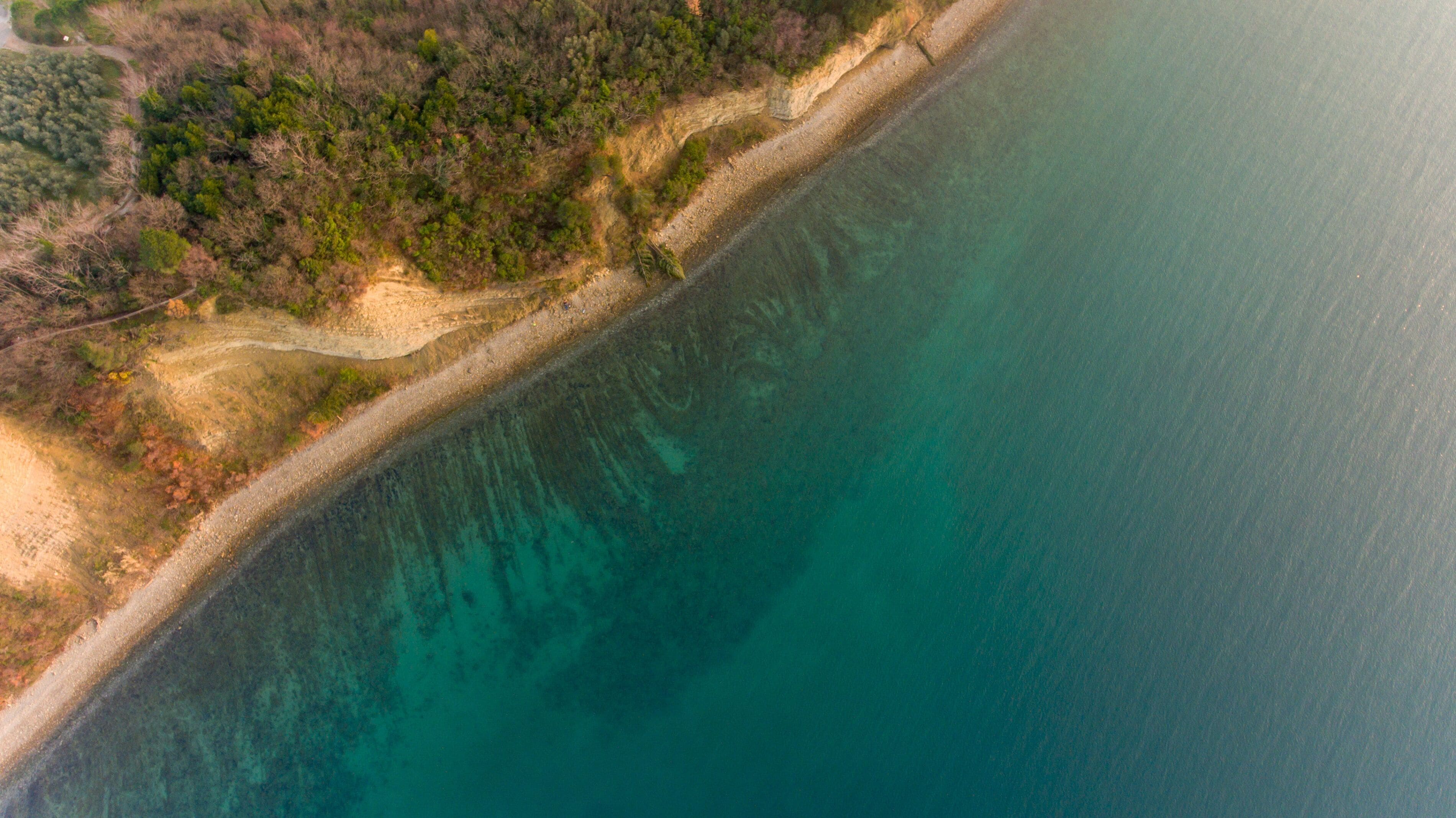 Paisagem costeira com uma praia arenosa, vegetação densa e águas turquesa cristalinas.