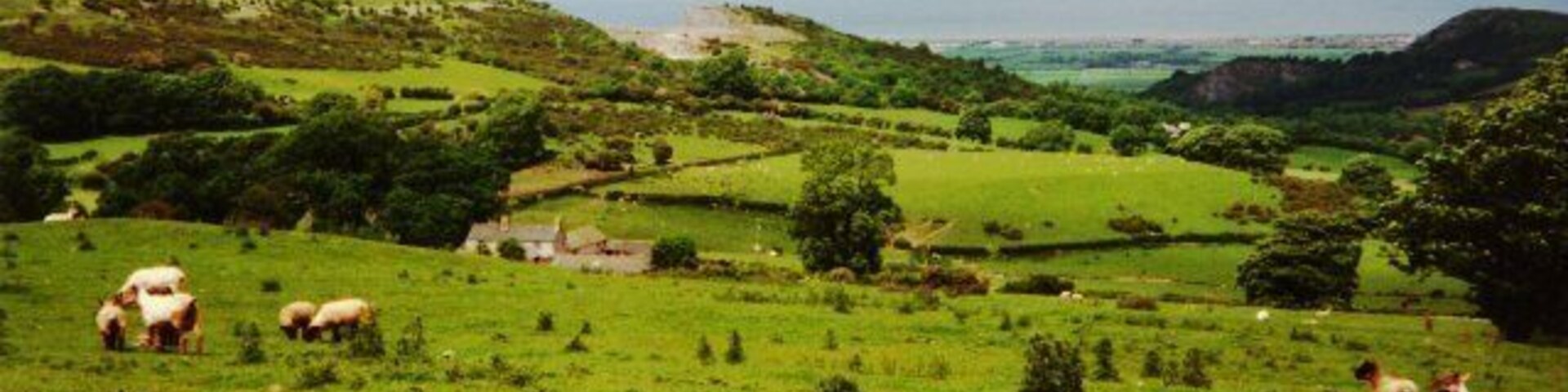 Uma encosta verde com ovelhas a pastar, uma pequena casa e colinas ondulantes ao fundo.
