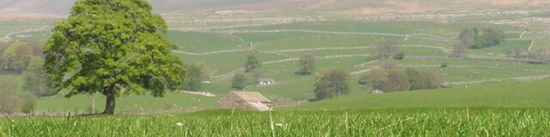 Pen y Ghent from Crooks. Taken on 1st May 2005 from Crooks. The footpath crossing this area of land is part of the Millennium Walk, a pleasant circular riverside walk from Horton crossing the River Ribble on the Tay Bridge.