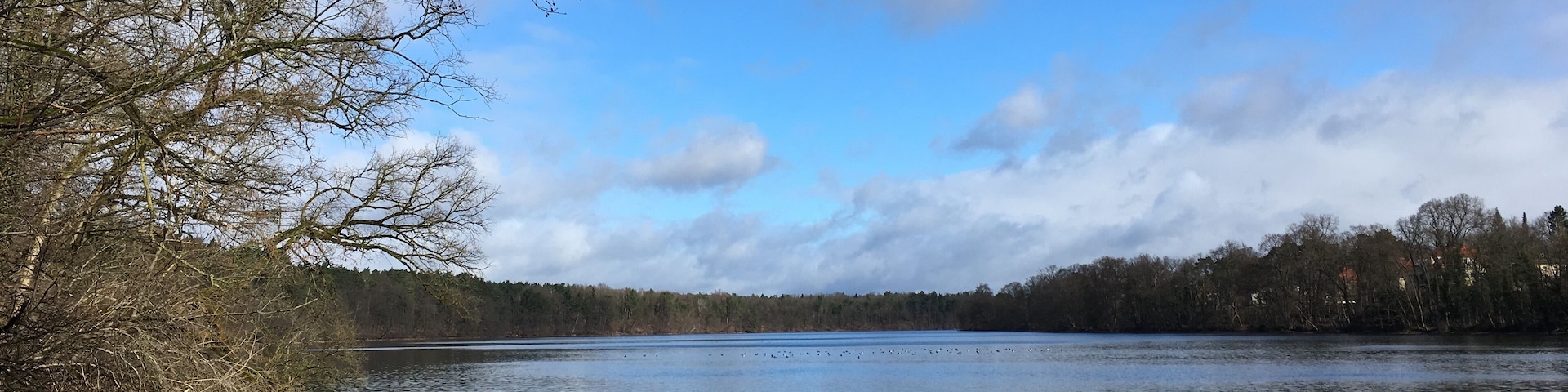 Straussee bei Strausberg. Um den See führt ein beschilderter Wanderweg, der auf 12 Tafeln die Geschichte der Stadt und des Sees erläutert.