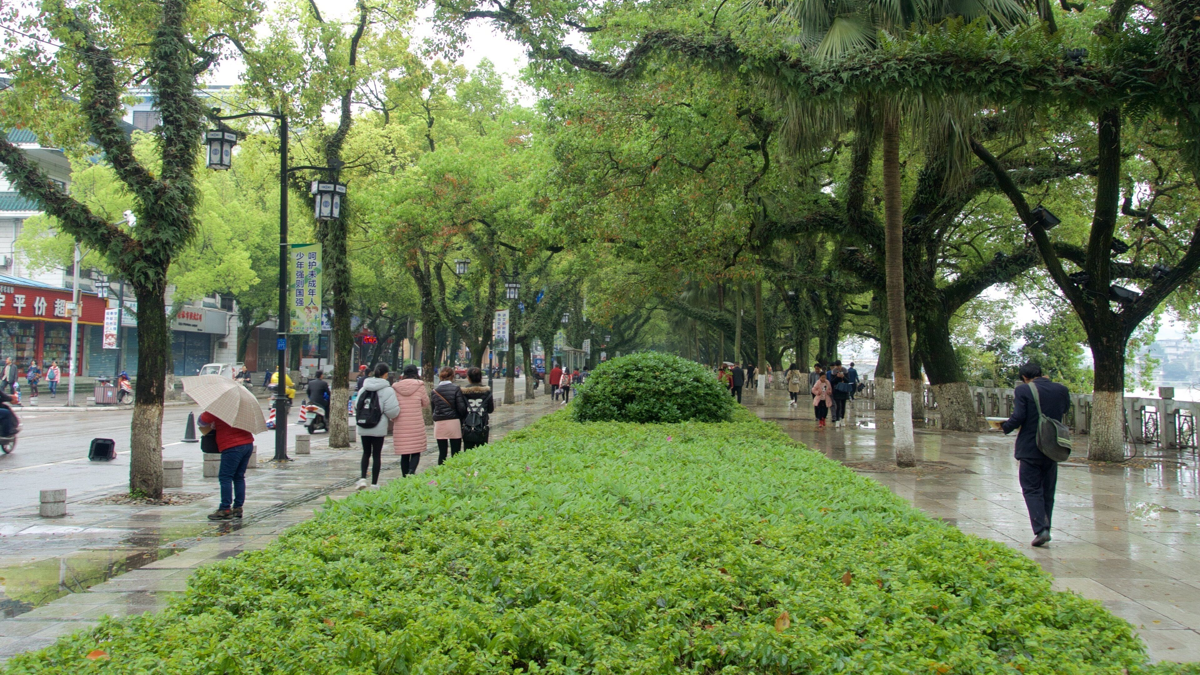 Uma passarela arborizada com pedestres, alguns carregando guarda-chuvas.