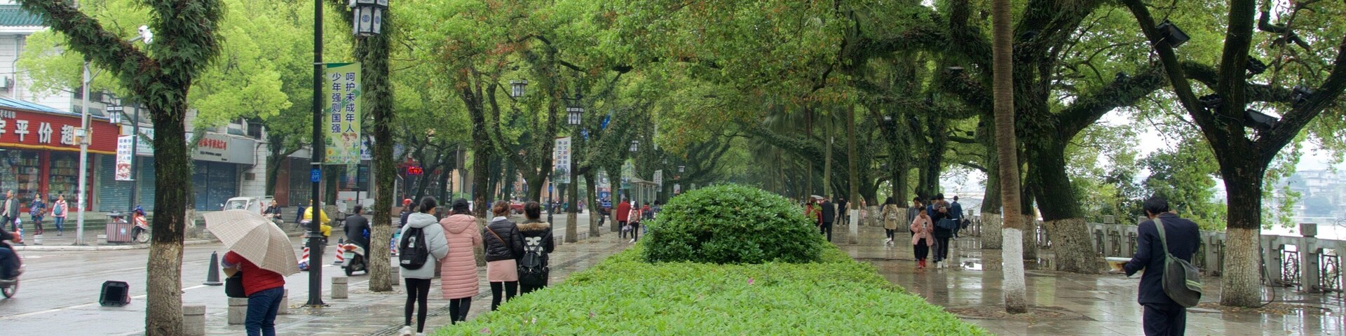 Uma passarela arborizada com pedestres, alguns carregando guarda-chuvas.