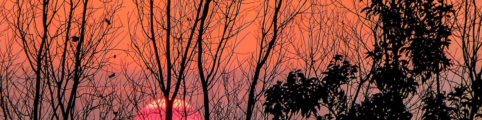 Sunset in my backyard