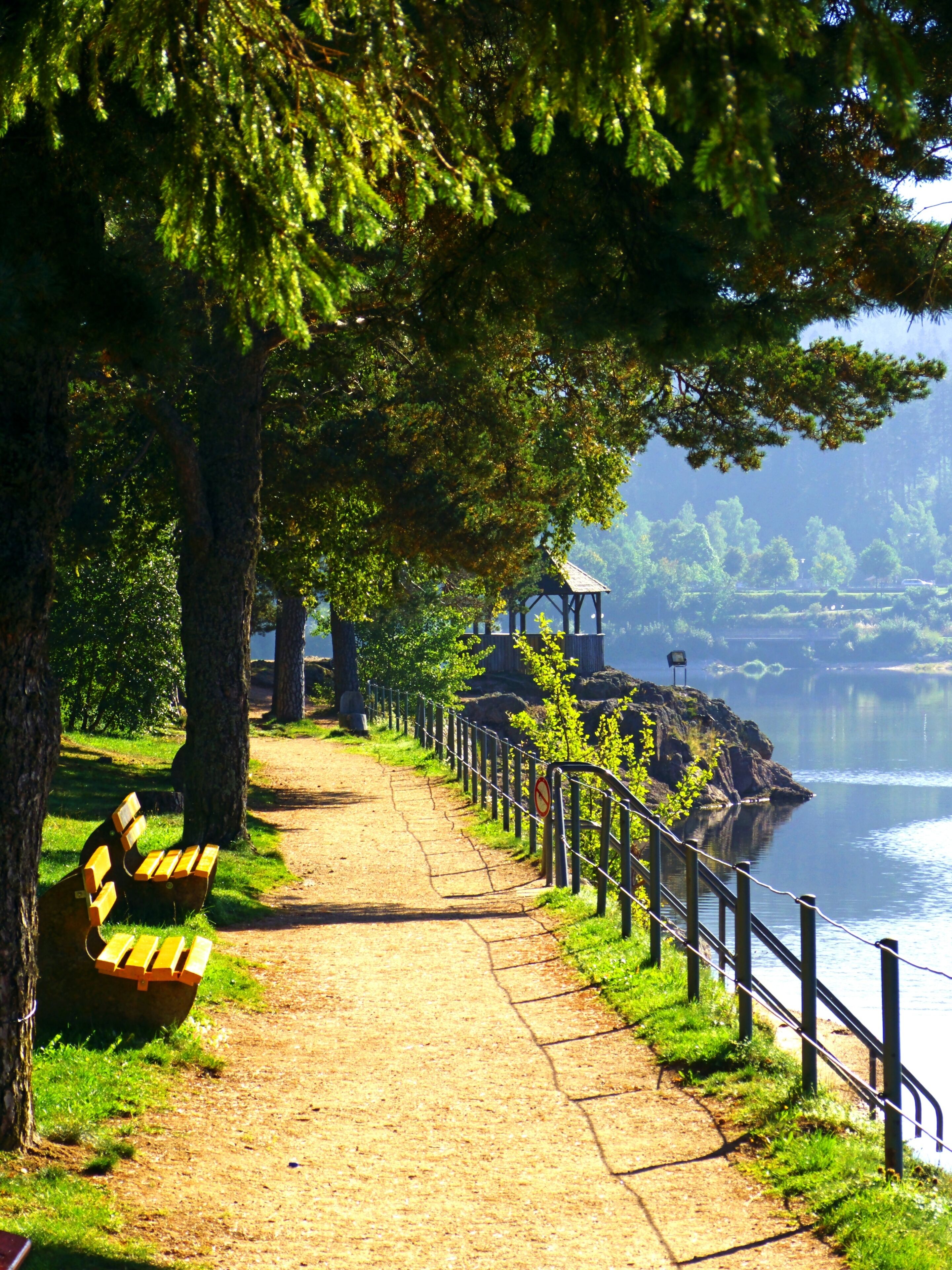 Um caminho com bancos, corrimão e um lago.