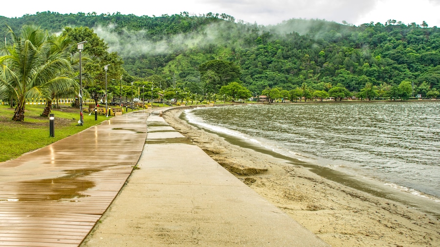 Uma passarela costeira com palmeiras, uma praia arenosa e uma colina arborizada ao fundo.