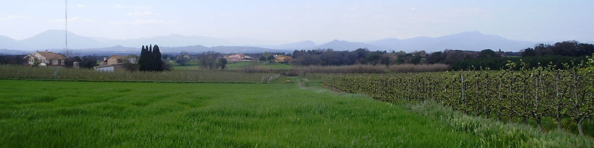 Paisatge del tram de carril bici Girona-Cassà de la Selva