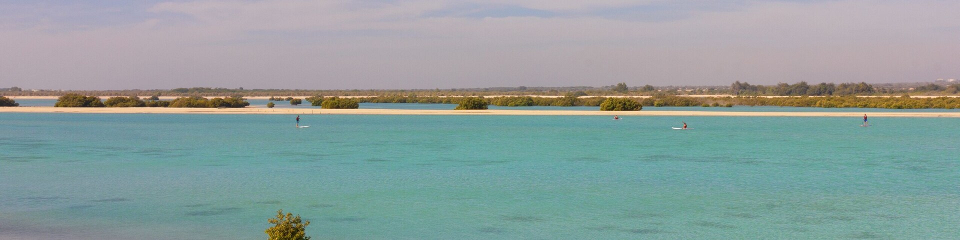 Uma praia com águas turquesa cristalinas, uma pequena árvore em primeiro plano e terra distante com vegetação escassa.