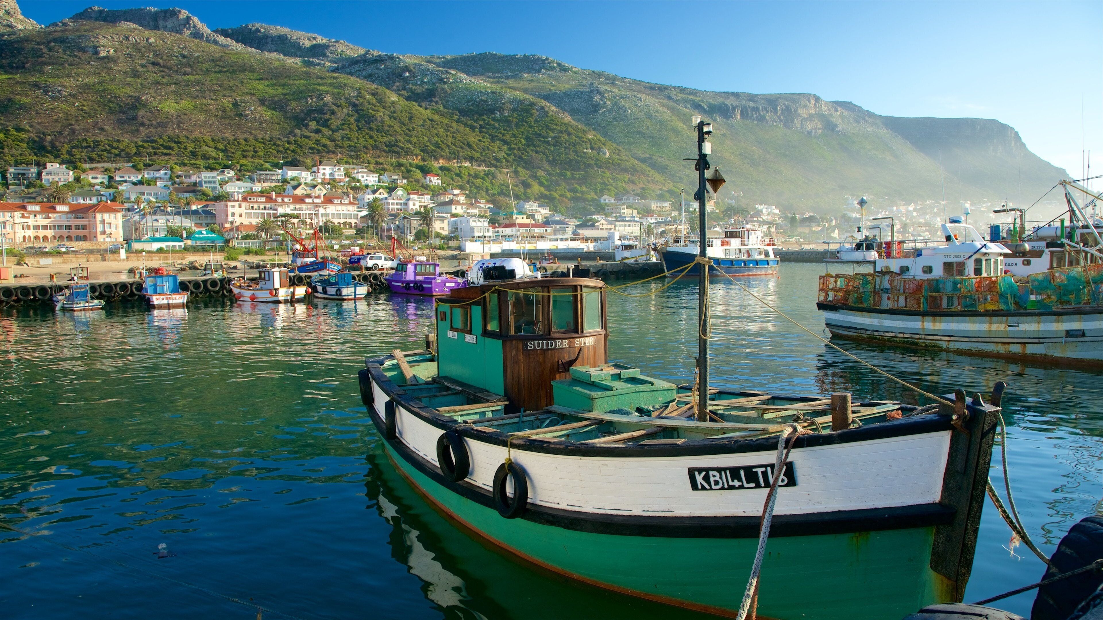 Kalk Bay mostrando uma cidade litorânea, uma baía ou porto e canoagem
