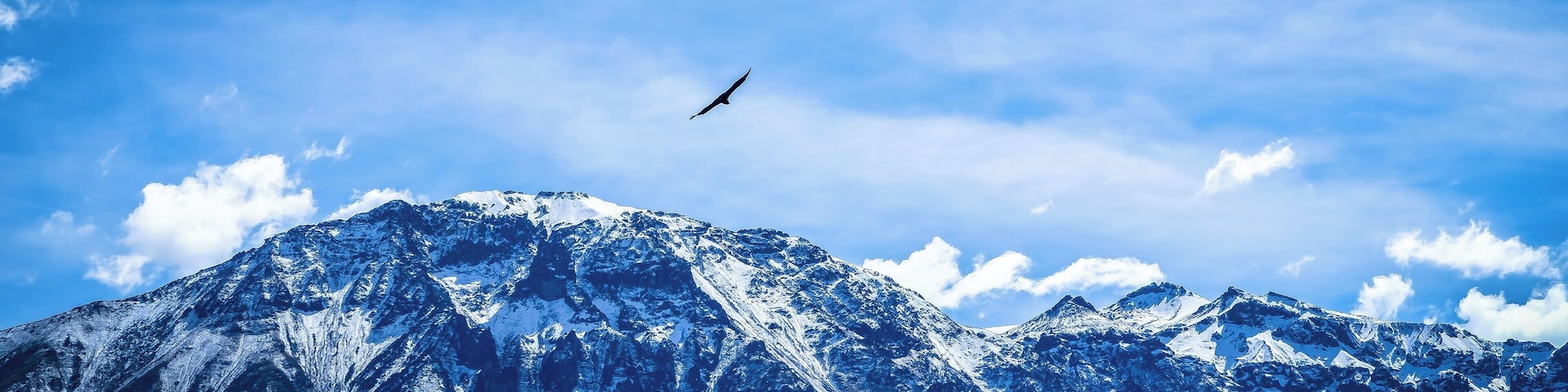 Colca Canyon Condors