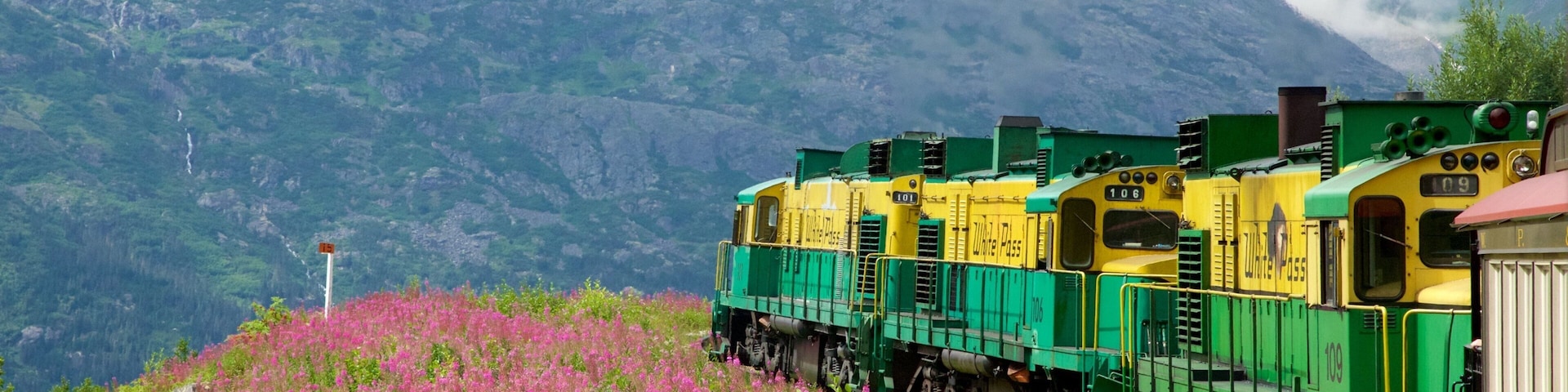 White Pass featuring wildflowers, mountains and railway items