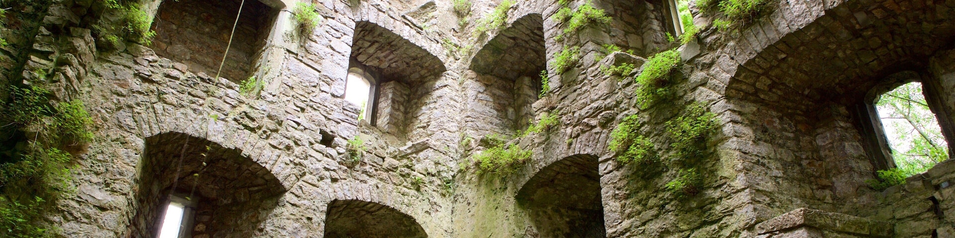 Oxwich Castle showing heritage elements, a castle and building ruins