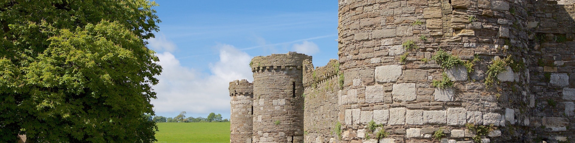 Beaumaris Castle showing heritage elements, heritage architecture and a castle