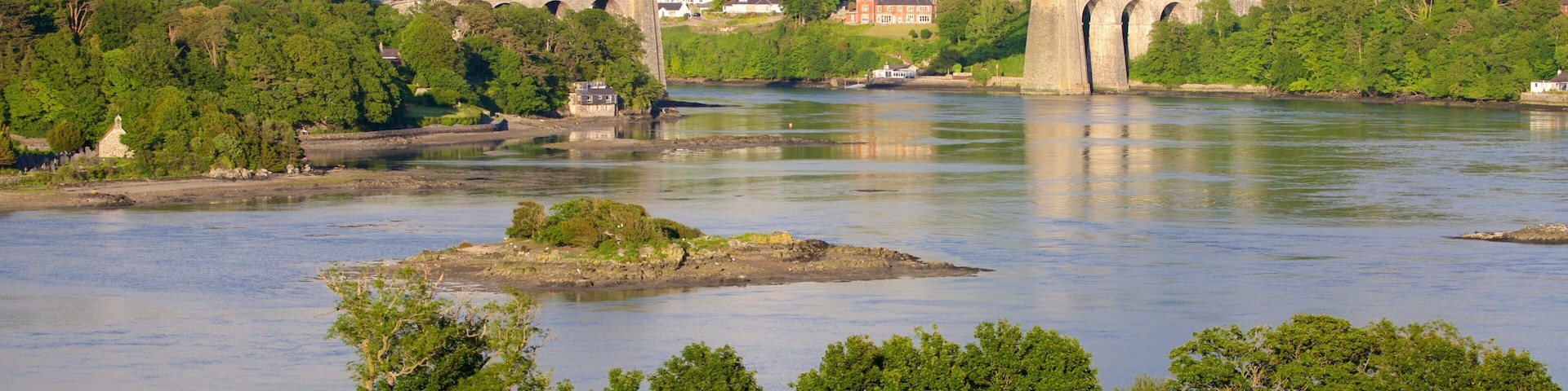 Uma ponte suspensa sobre um rio, rodeada por vegetação exuberante e casas.