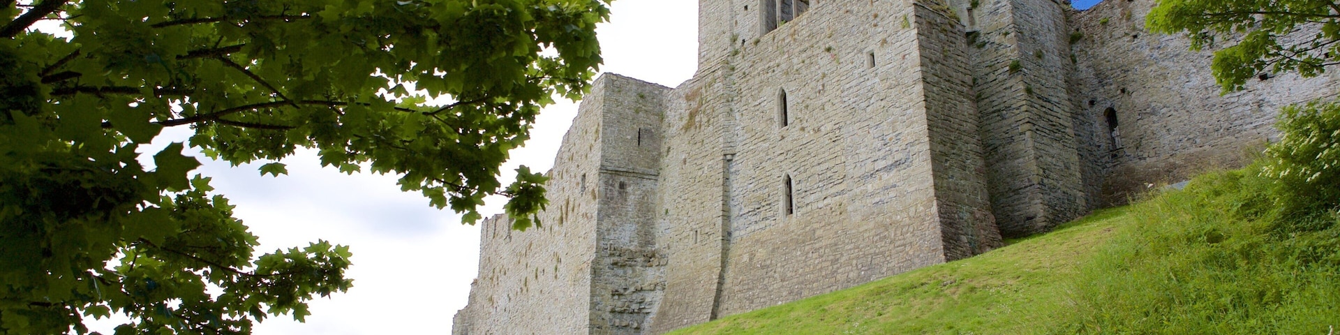 Oystermouth Castle which includes a castle