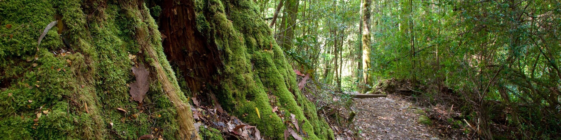 Franklin-Gordon Wild Rivers National Park