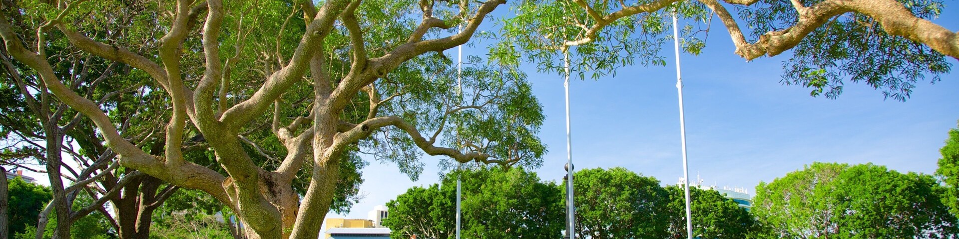 Bicentennial Park showing a park