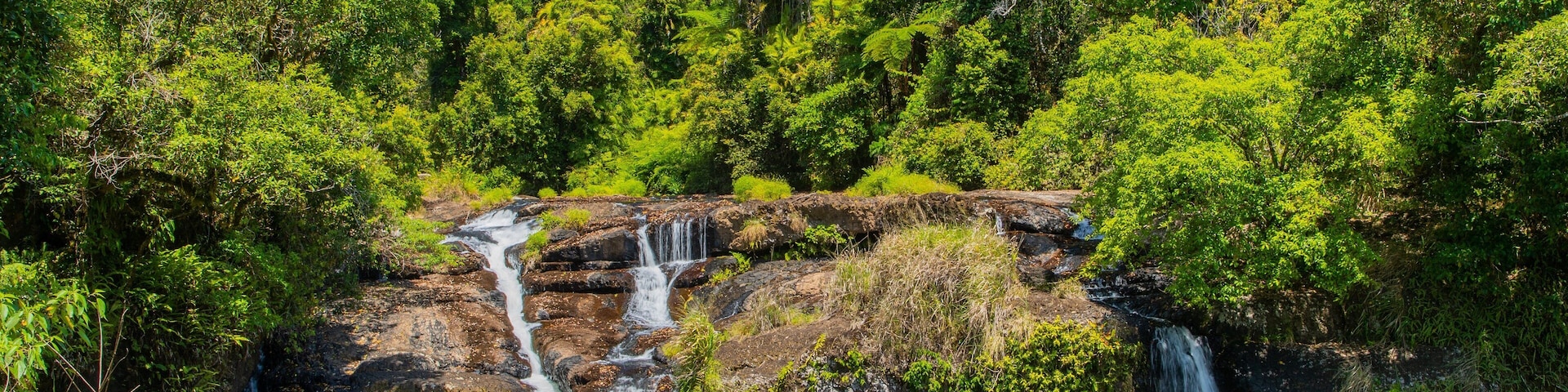 Wooroonooran National Park showing a waterfall