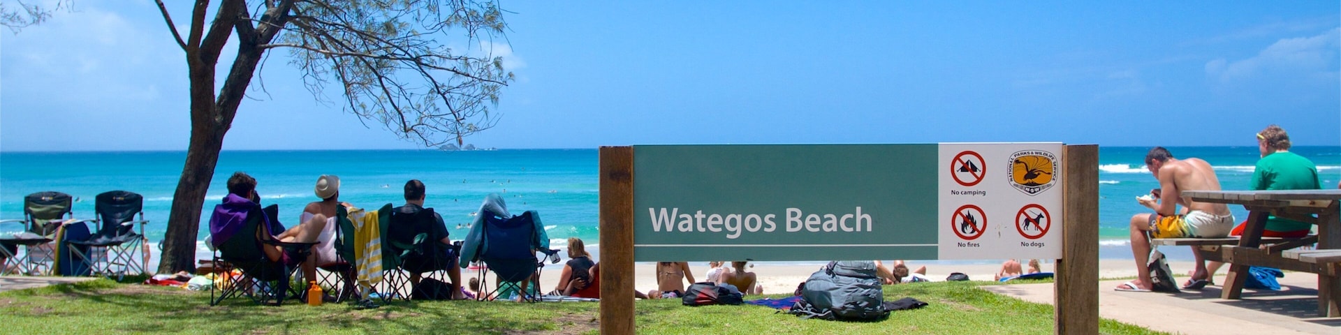 Cena de praia com uma placa indicando 'Wategos Beach' e placas com avisos: proibido acampar, proibido fazer fogueiras e proibido cachorros.
