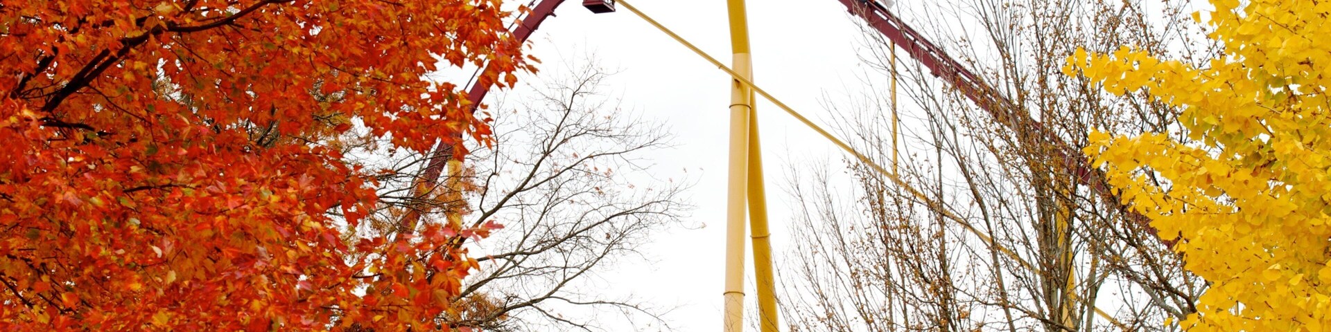 Kings Island which includes rides and autumn leaves