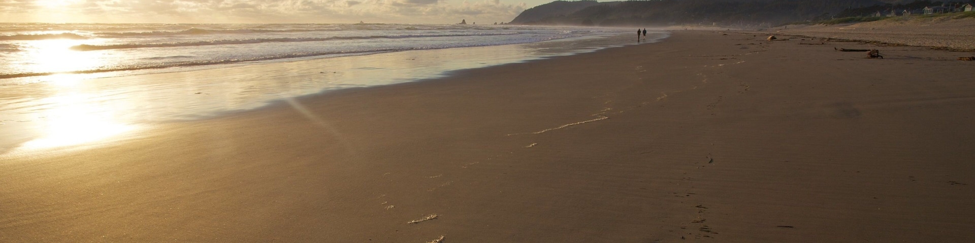 Uma praia com pegadas que vão até a água, um pôr do sol e uma floresta ao longe.