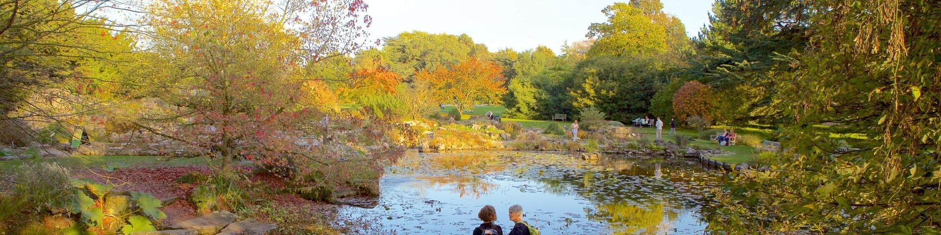 University Botanic Gardens showing a pond and a park as well as a couple