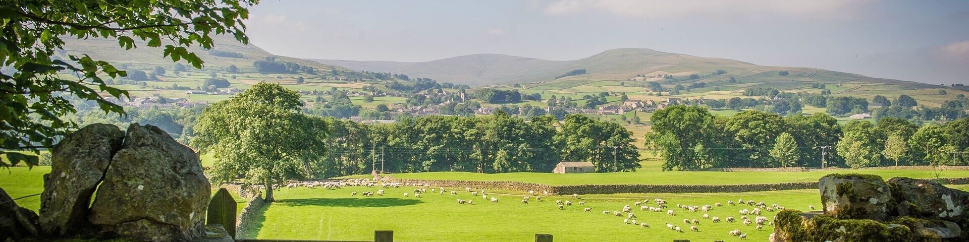 On the road between Askrigg and Hardraw we came upon a farmer moving his sheep along the road. After following the sheep for a short distance, the sheep found their way into a new field where immediately they ran to the farthest fence.
