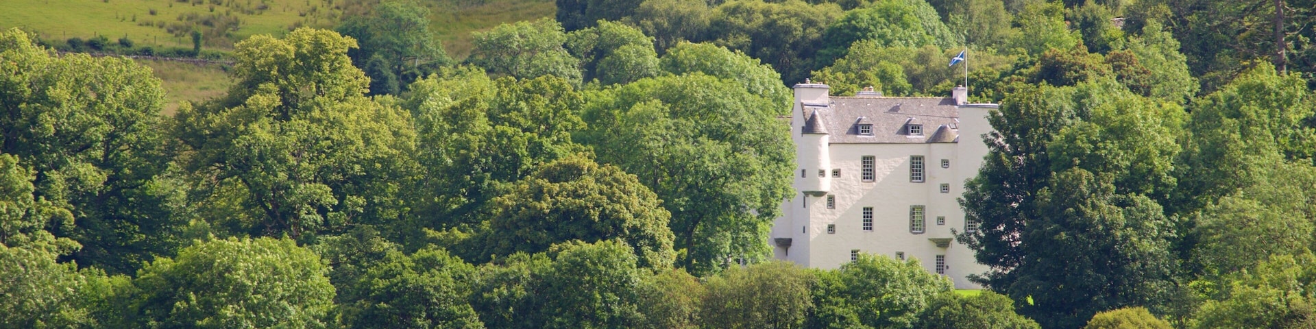 Loch Earn which includes forest scenes and a lake or waterhole