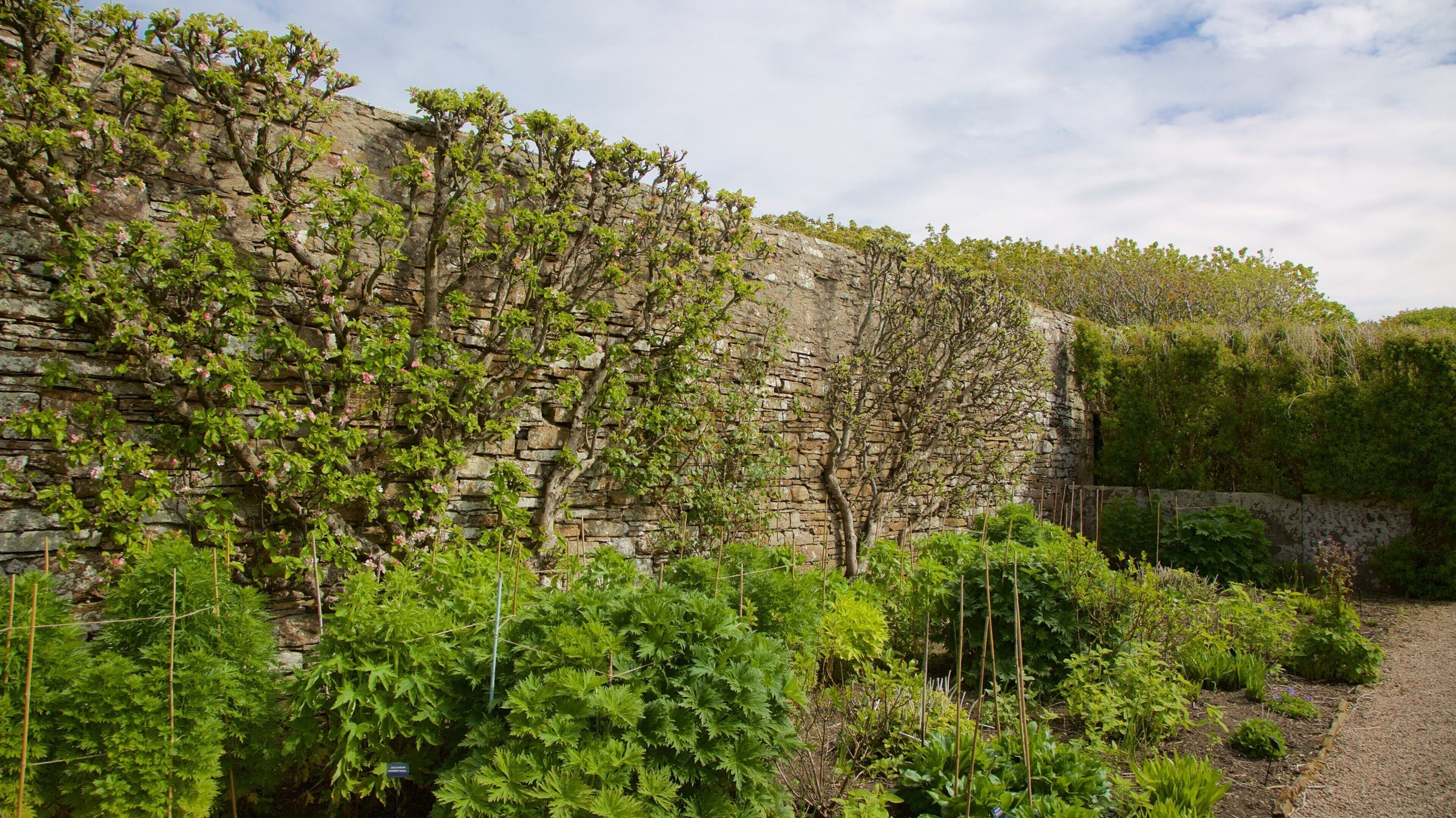 Castle of Mey which includes a castle, heritage architecture and heritage elements