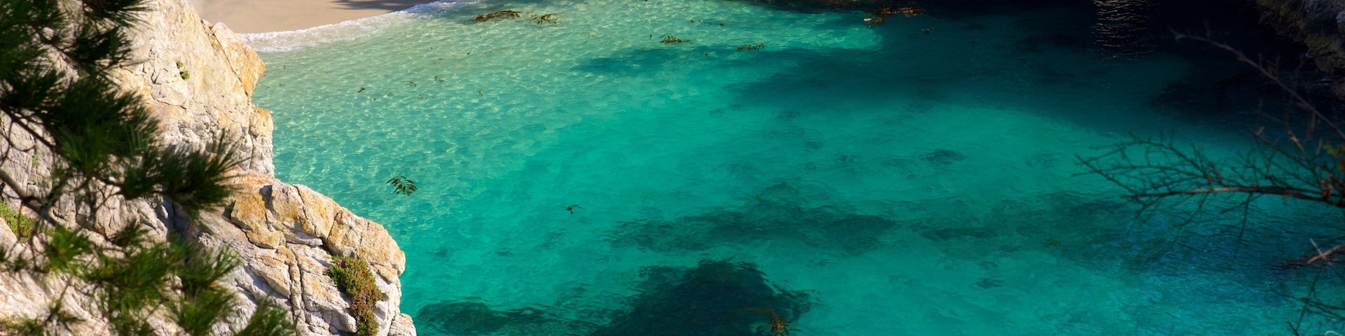 Mar turquesa com águas cristalinas, uma praia arenosa e falésias rochosas com vegetação.