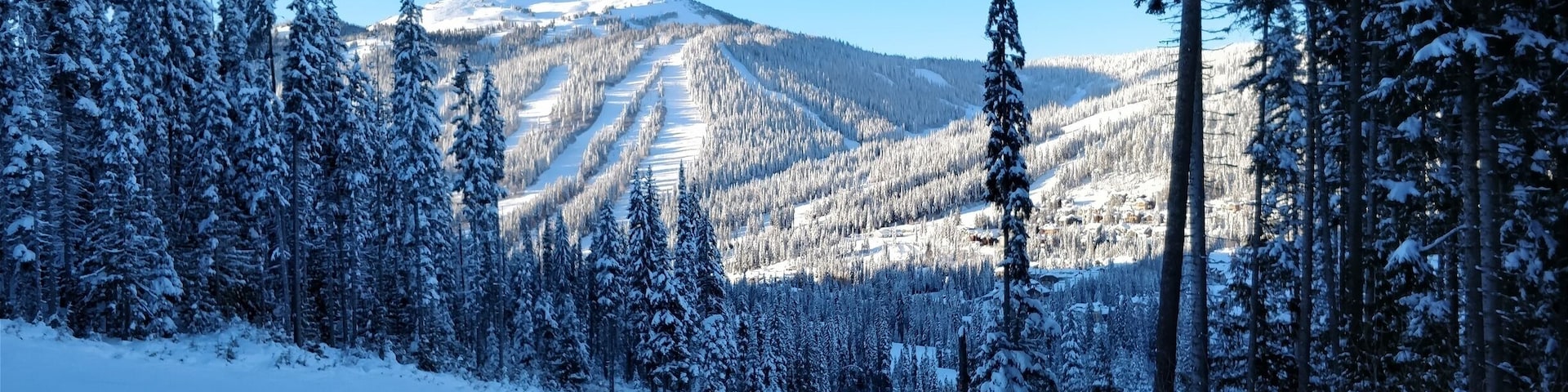 Great ski hill.  Good value and varied terrain.