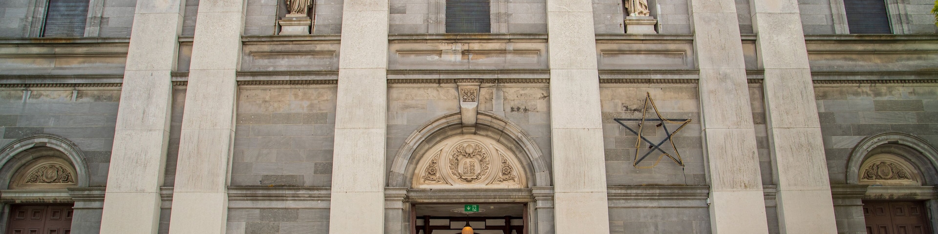 Holy Trinity Cathedral showing heritage architecture