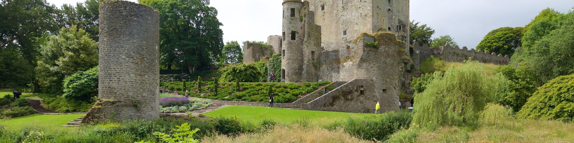 Um castelo histórico com uma torre alta, rodeado por vegetação exuberante e um campo de flores amarelas.