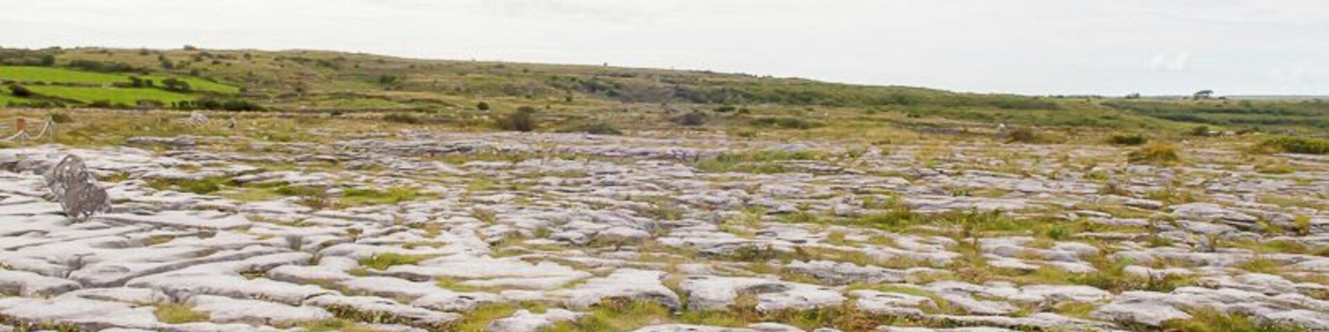 Terreno rochoso com vegetação escassa sob um céu nublado.