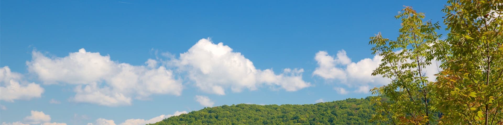 Allegheny National Forest featuring tranquil scenes, a river or creek and forests