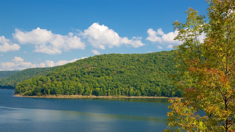Allegheny National Forest featuring tranquil scenes, a river or creek and forests