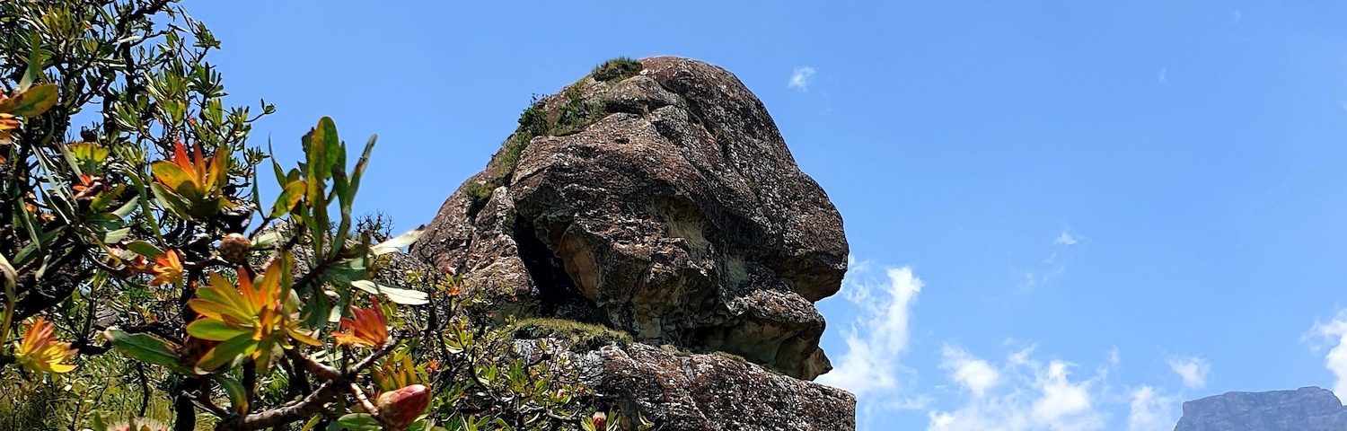 There's an angry looking gorilla on the trail to the Sphinx in Cathkin Park, Drakensberg. 
Dare to climb on his head, the view is worth it.